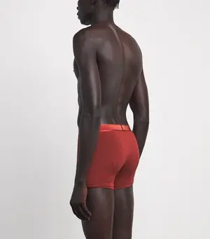 Emporio Armani Modal Logo Trunks