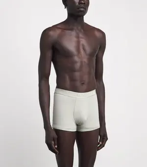 Emporio Armani Modal Logo Trunks