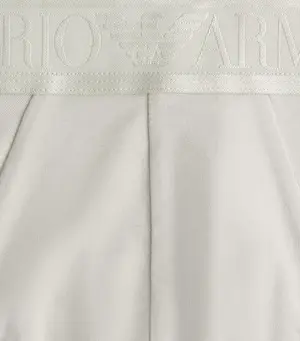 Emporio Armani Modal Logo Briefs