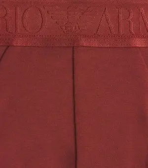 Emporio Armani Modal Logo Briefs