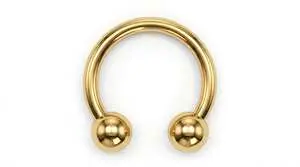 Zahav Jewelry 10k Solid 16g 8mm Horseshoe Barbell - Gold