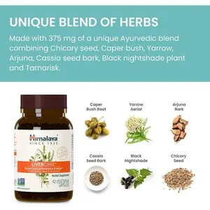 HIMALAYA WELLNESS Livercare 90 Capsules