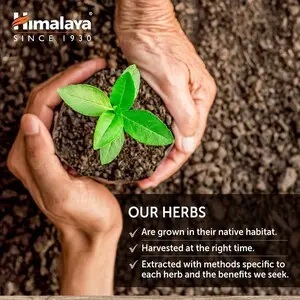 HIMALAYA WELLNESS Uricare 120 Capsules