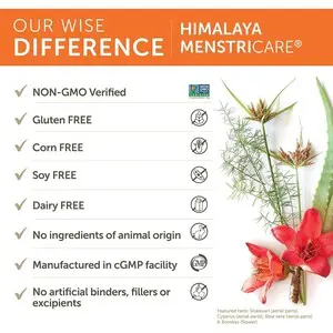 HIMALAYA WELLNESS Menstricare 120 Capsules