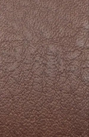Mango Leather Western Belt