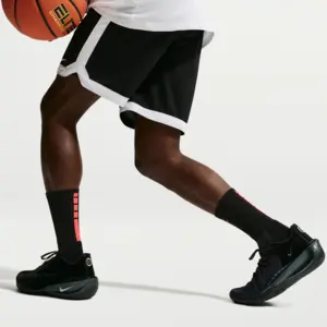 Nike Elite 2.0 Cushioned Crew Socks