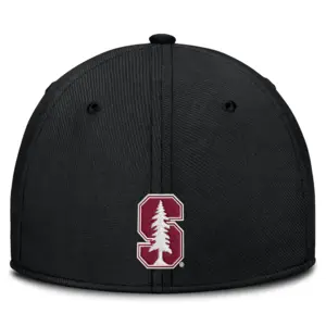 Nike Stanford Cardinal Dri-fit College Cap