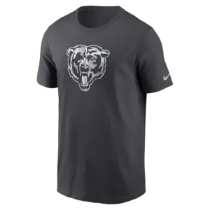 Nike Chicago Bears Fractal Logo Nfl T-shirt - Grey