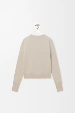 Loewe Sweater In Wool - Beige