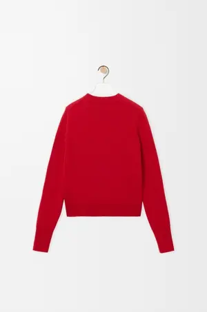 Loewe Round Neck Sweaters For Women