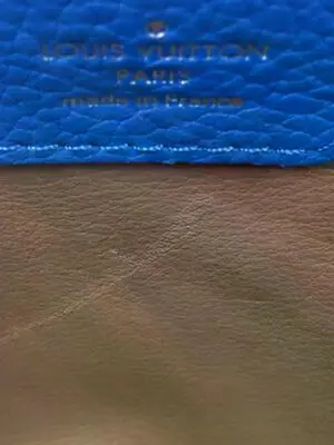 LOUIS VUITTON 2014 Taurillon Capucines Gm Satchel