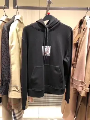 Burberry Fawn Printed Hooded Sweater