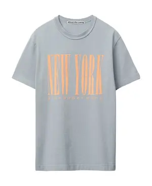 Alexander Wang Graphic Printed Crewneck T-shirt - Gray