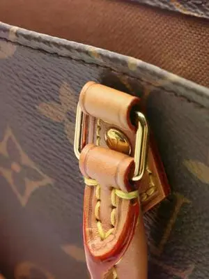 LOUIS VUITTON 2020 Monogram Petit Sac Plat Satchel