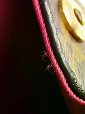 LOUIS VUITTON Monogram Canvas Cluny Bb Satchel - Brown