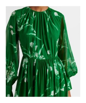 Erdem Floral Silk Voile Maxi Gown