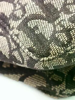 Dior Trotter Tote Bag