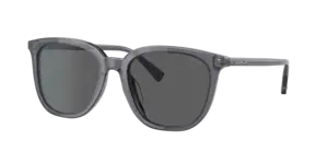 COACH Sunglass C8006 - Dark Grey Solid