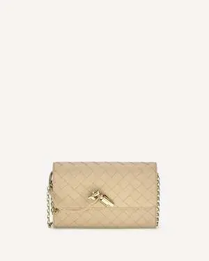 Bottega Veneta Andiamo Pouch On Chain - Beige