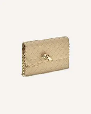 Bottega Veneta Andiamo Pouch On Chain