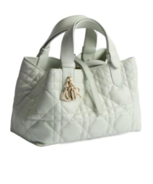 Dior Toujours Small Handbag - Gray