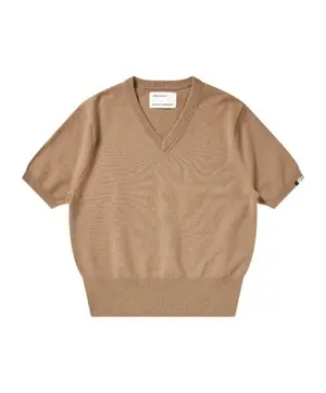 Extreme Cashmere V-neck Sweater - Chai