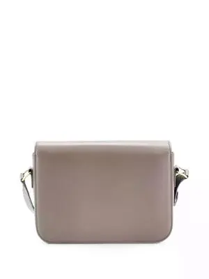 Celine Triomphe Shoulder Bag Smooth Calfskin Medium Crossbody Bag