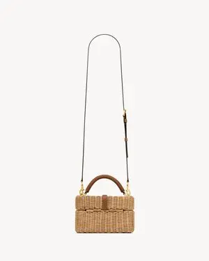 Saint Laurent Gaby Vanity Bag