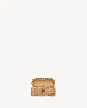 Saint Laurent Gaby Vanity Bag