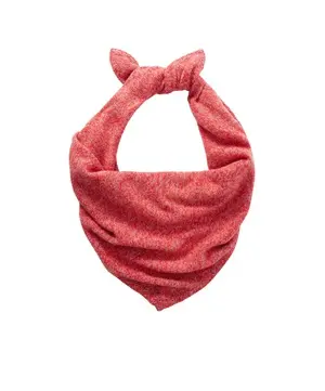 THE ELDER STATESMAN Cashmere Scarf