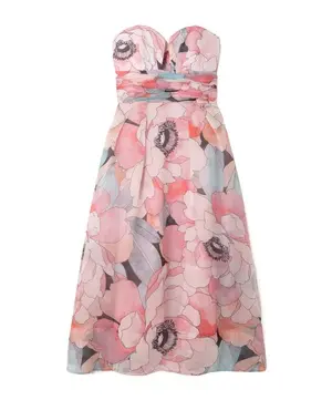 Rebecca Vallance Strapless Printed Silk Organza Dress