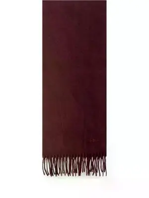 Max Mara Fringed Wool Scarf