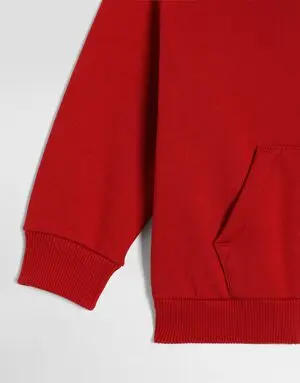 Dolce & Gabbana Hoodie With Logo