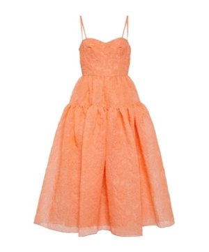 Erdem Abelia Organza Cloque Midi Dress