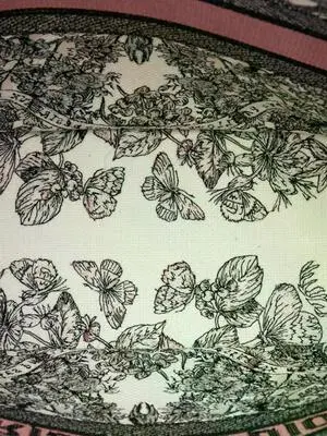 Dior Large Embroidered Canvas Butterfly Around The World Book Tote Bag - White
