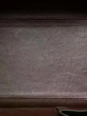 Celine Calfskin Luggage Tote Bag