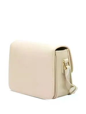 Celine 2024 Teen Shiny Calfskin Triomphe Crossbody Bag - Brown