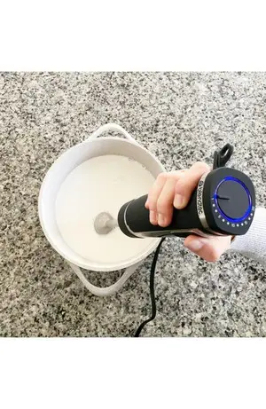 BLENDTEC Immersion Hand Blenderblender