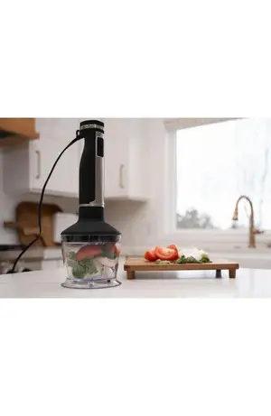 BLENDTEC Immersion Hand Blenderblender