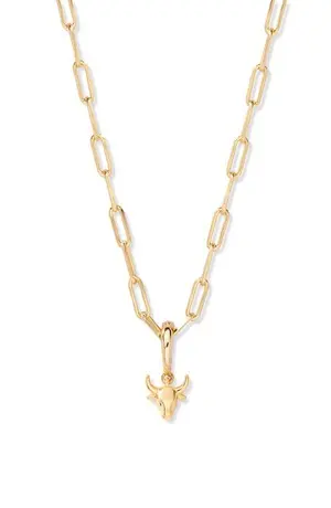BROOK & YORK 14k Gold-plated Aries Zodiac Charm Paperclip Necklace - Gold/taurus