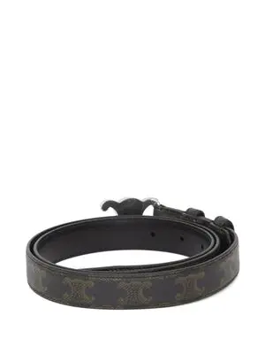 Celine Triomphe Leather Belt - Multicolor