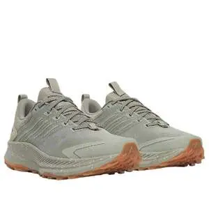 Saucony Ride Tr2 'birch Silver