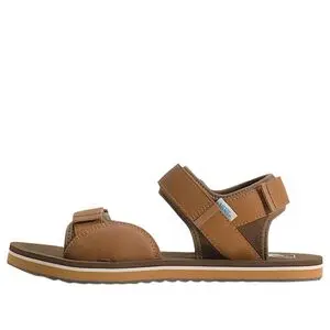 VANS Tri-lock Sandals - Chipmunk Brown