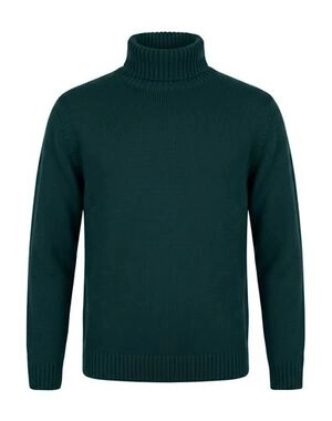 ZANONE Turtleneck Size Virgin Wool - Green