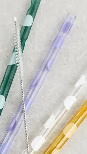 FAZEEK Polka Dot Glass Straw Set