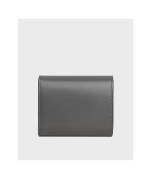 Celine Small Flap Wallet Triomphe In Shiny Calfskin