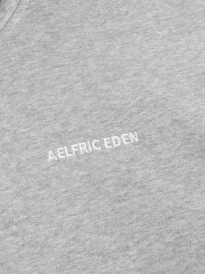AELFRIC EDEN Boxy Metal Toggle-zip Up Hoodie
