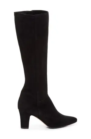 Manolo Blahnik Pitana Knee-high Suede Boots