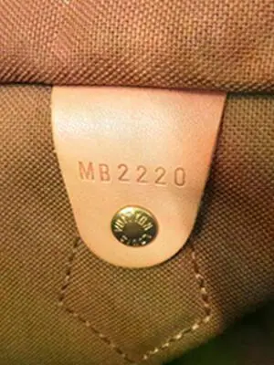 LOUIS VUITTON 2020 Monogram Speedy 25 Boston Bag