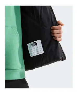 The North Face Hydrenalite Down Hooded Jacket
